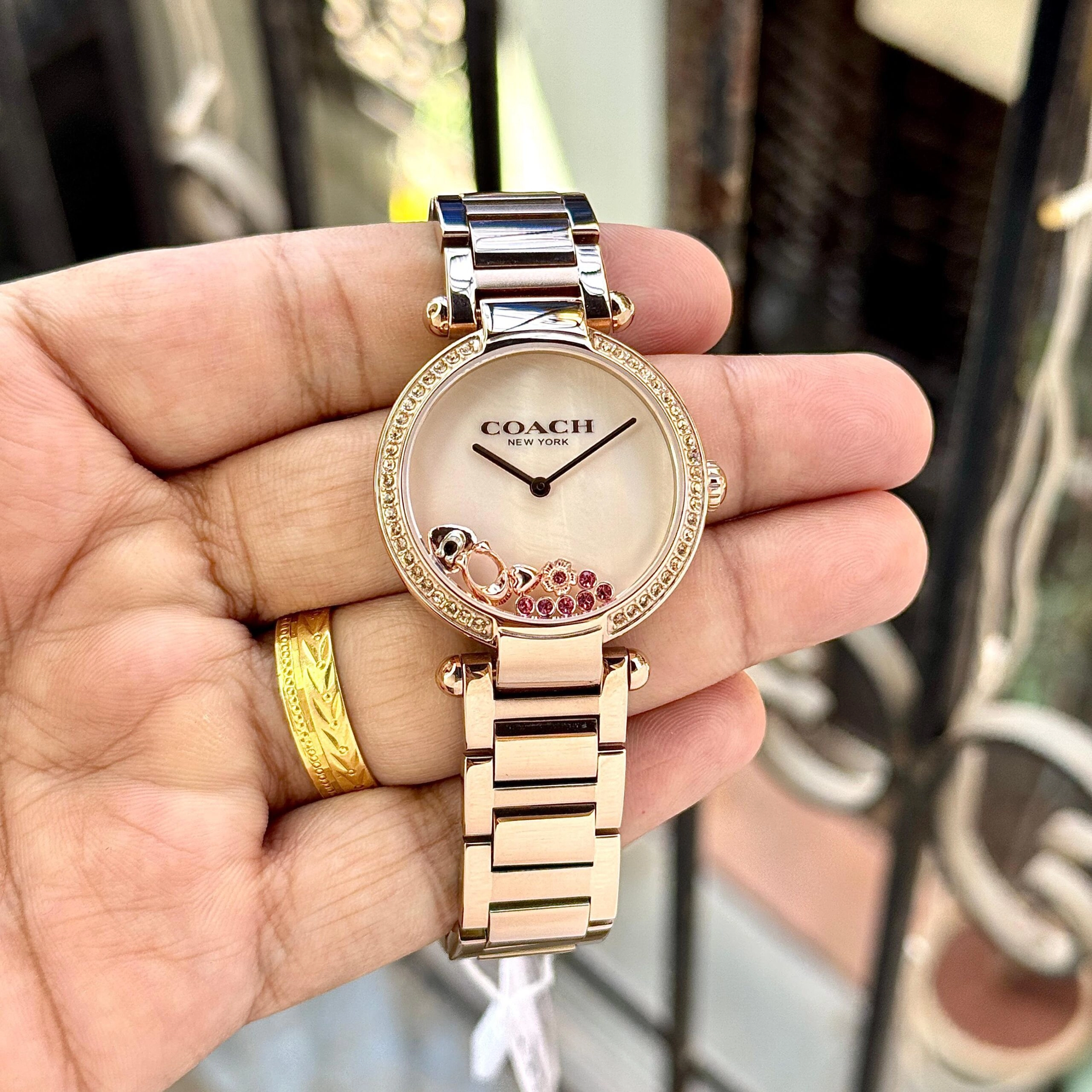 Coach Cary Quartz First Copy | 7AAA Premium | Luxury Watch